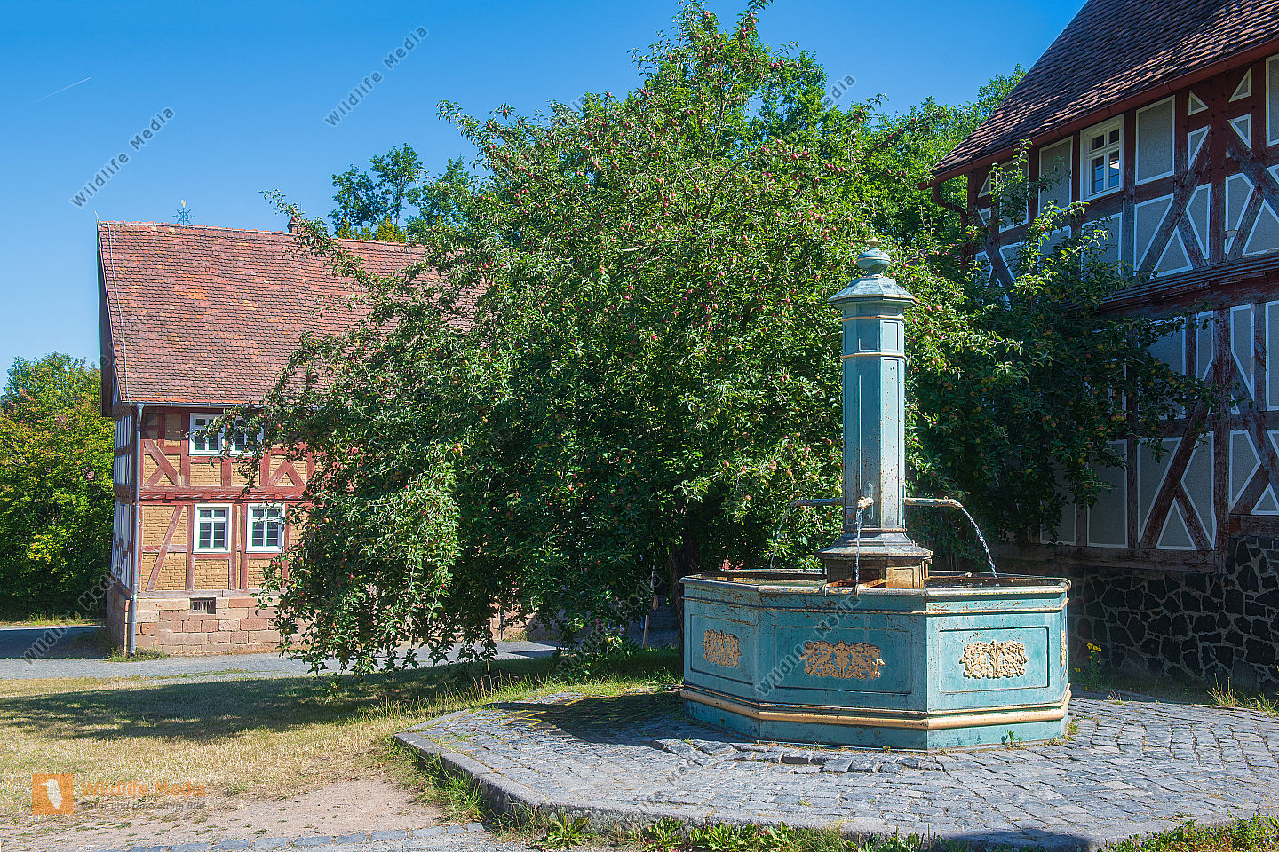 Dorfplatz mit Brunnen Bild bestellen - Naturbilder bei Wildlife Media Dorfplatz mit Brunnen Bild bestellen - Naturbilder bei Wildlife Media